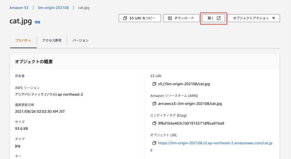 AWS CLIを利用し、Amazon S3バケットのpre-signed urlsを取得してみました | DevelopersIO