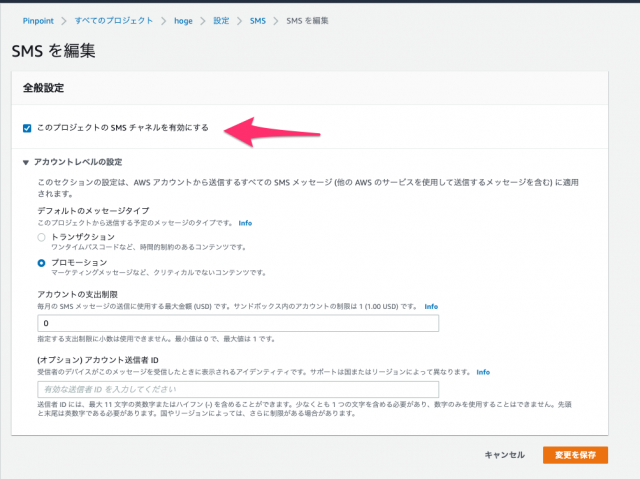 Amazon Pinpointを使ったSMS送信をおこなってみた | DevelopersIO