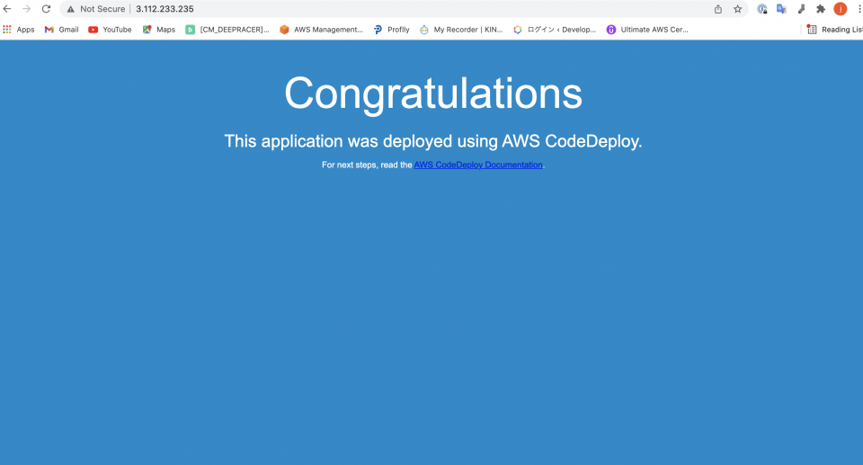I Tried To Setup Aws Codepipeline And Aws Codedeploy To Deploy Application On Amazon Ec2 Using