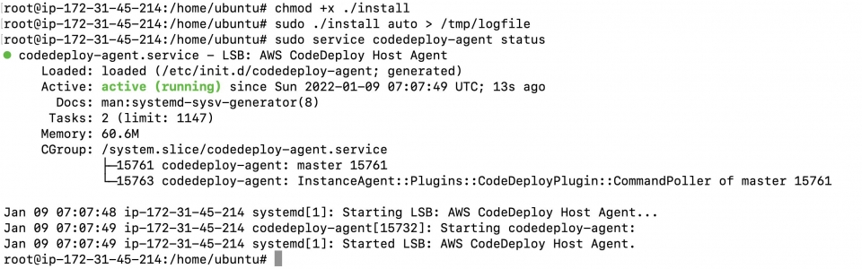【CodeDeploy】デプロイグループにオンプレミスインスタンス登録をしてみた。 | DevelopersIO