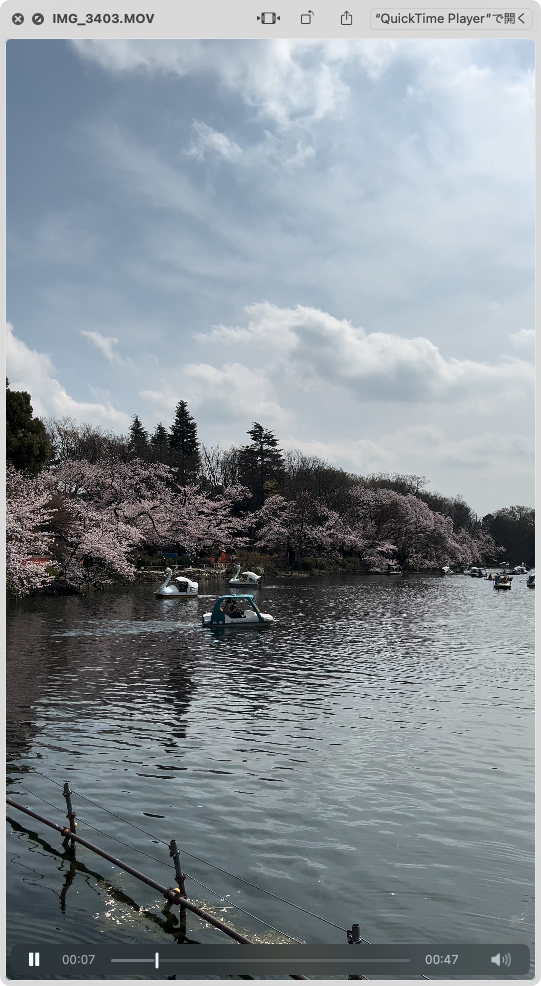 Cloudflare Streamで縦長Portraitなストリーミング動画配信をしてみた | DevelopersIO