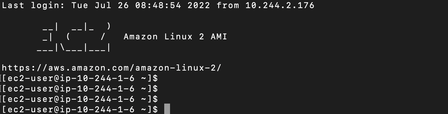 Client VPN을 이용해서 Private Subnet EC2 Instance에 접속해 보기 | DevelopersIO