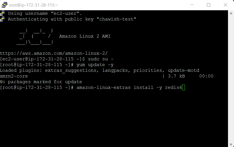 การเชื่อมต่อ ElasticCache จาก EC2 | DevelopersIO