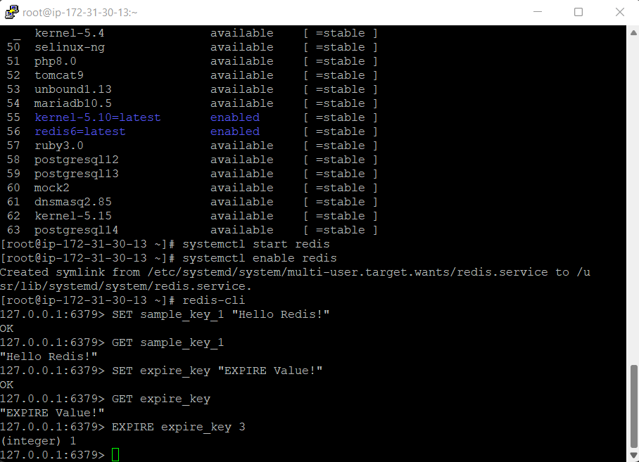 การติดตั้ง Redis ลงใน Amazon Linux 2 (EC2) | DevelopersIO