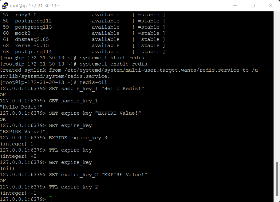 การติดตั้ง Redis ลงใน Amazon Linux 2 (EC2) | DevelopersIO