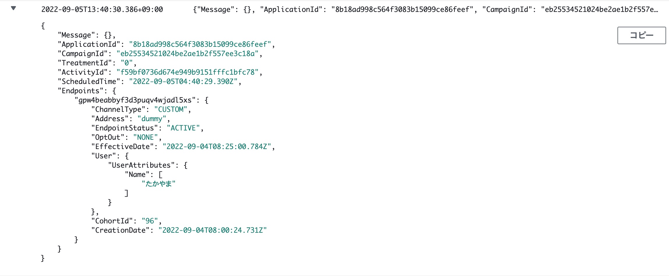 PinpointのWebhookカスタムチャネルを試してみた | DevelopersIO