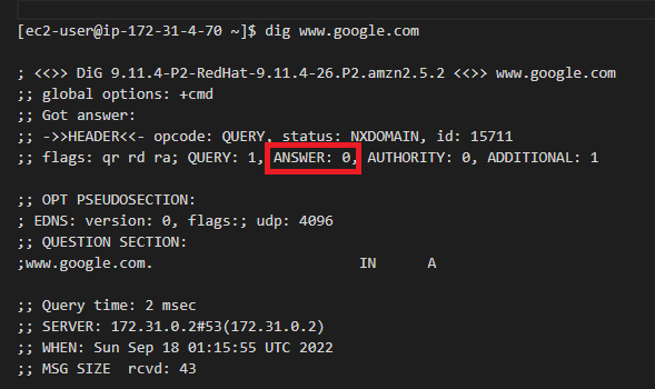 CNAME レコードを DNS クエリした際の Route 53 Resolver DNS Firewall 挙動を調べてみた | DevelopersIO