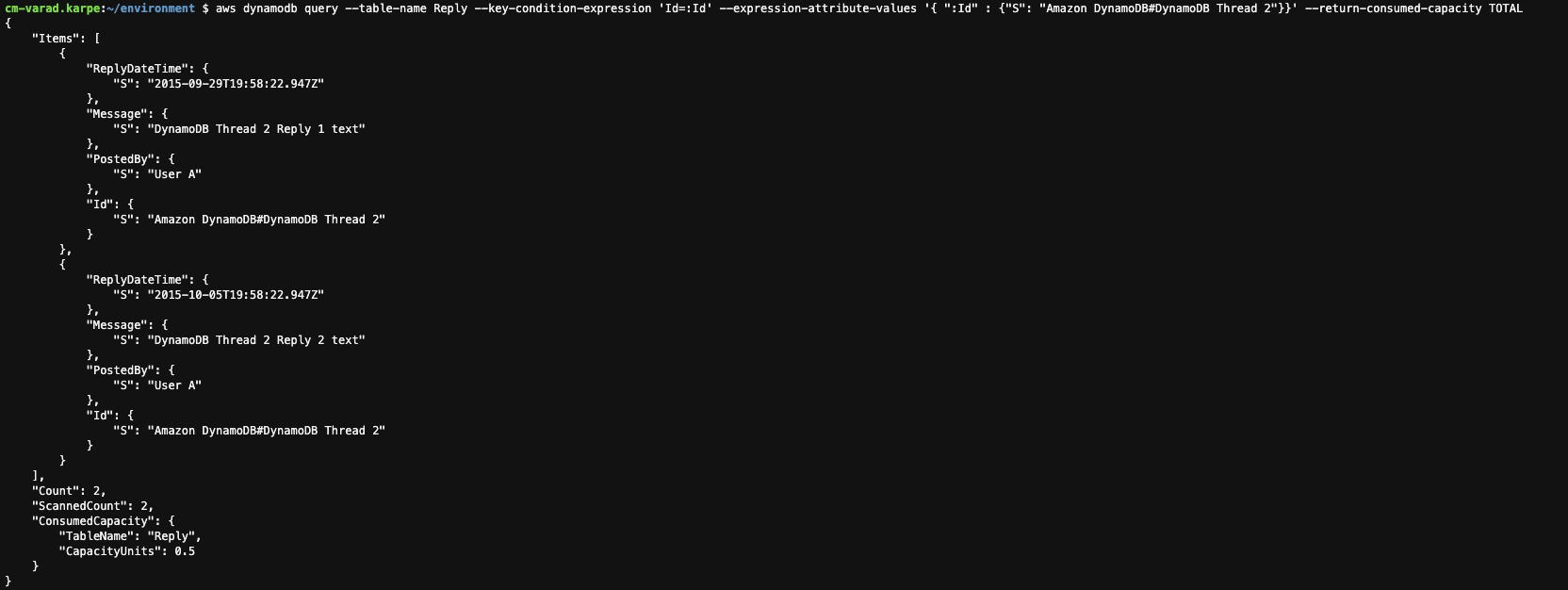 Dynamodb With Aws Cli Scan Get Item And Query Developersio