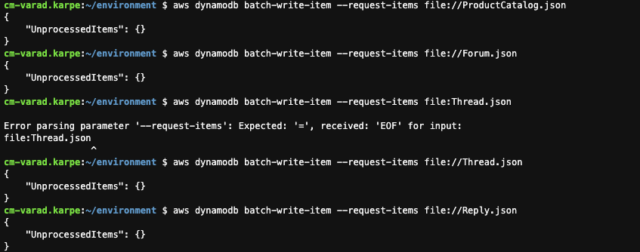 DynamoDB with AWS CLI : scan, get-item and query | DevelopersIO