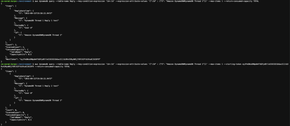 DynamoDB with AWS CLI : scan, get-item and query | DevelopersIO